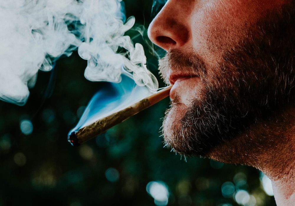 Can You Smoke Tea? Or Are You Better Off Drinking It?