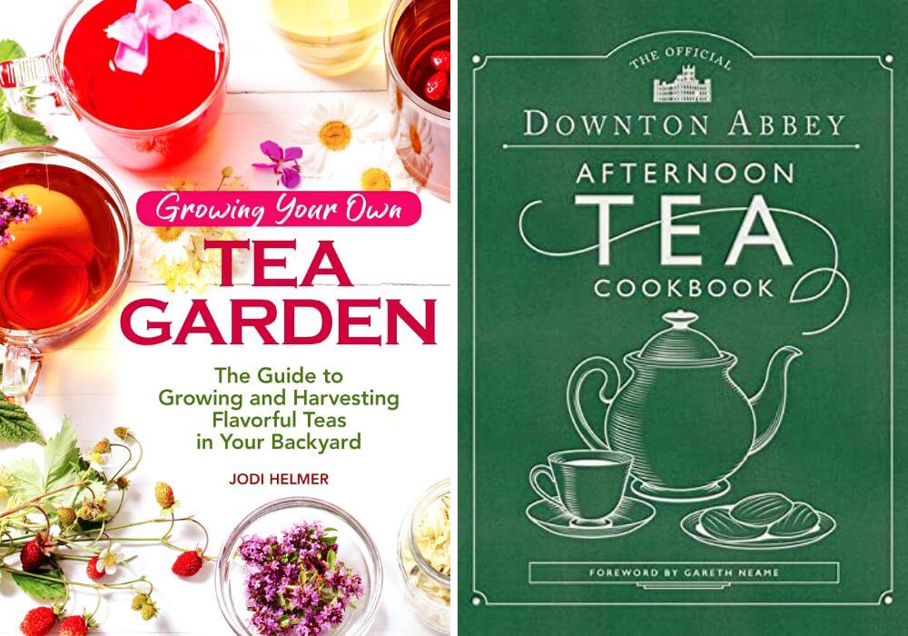 5 Tea-rific Books to Enhance Your Tea-Drinking Experience!